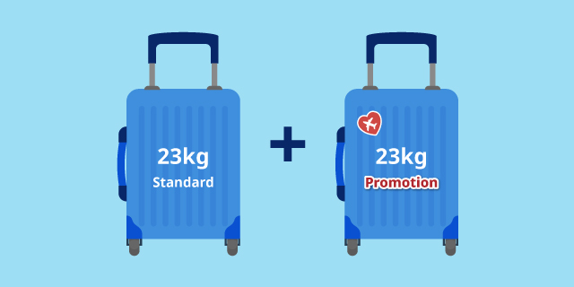 Klm 2024 baggage allowance and fees, Extra baggage conditions