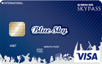 국내 신용카드 마일리지 적립